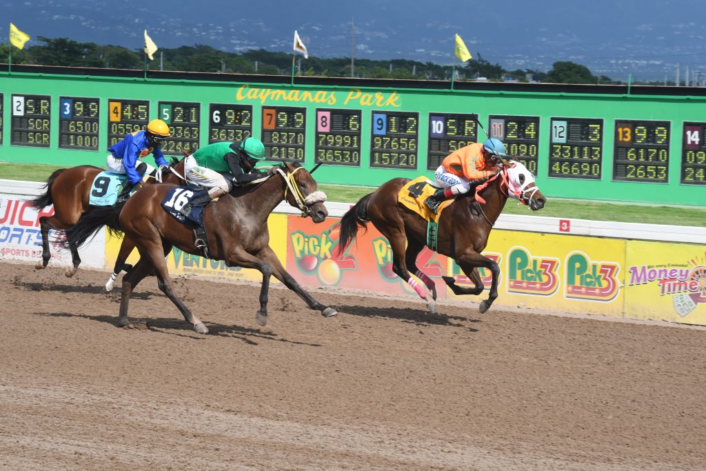 About Us – Supreme Ventures Limited